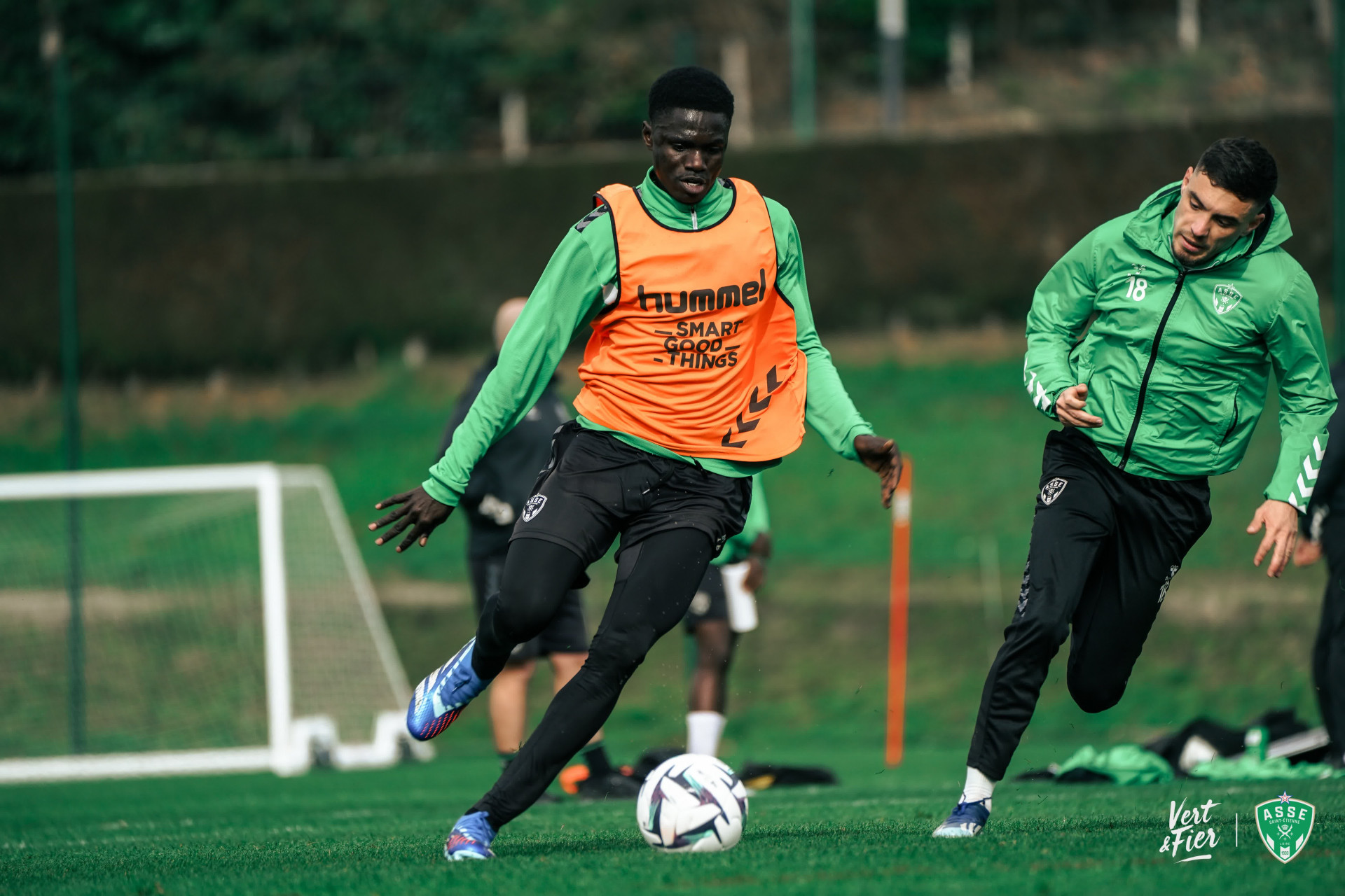 Fall Cheikh - Fiche : infos, stats, photos