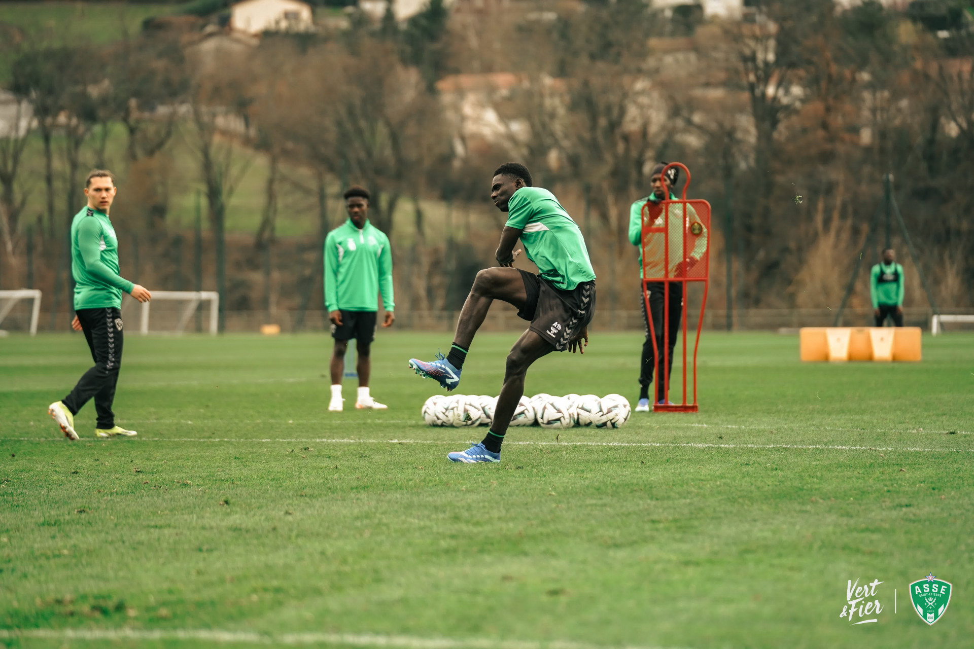 Fall Cheikh - Fiche : infos, stats, photos