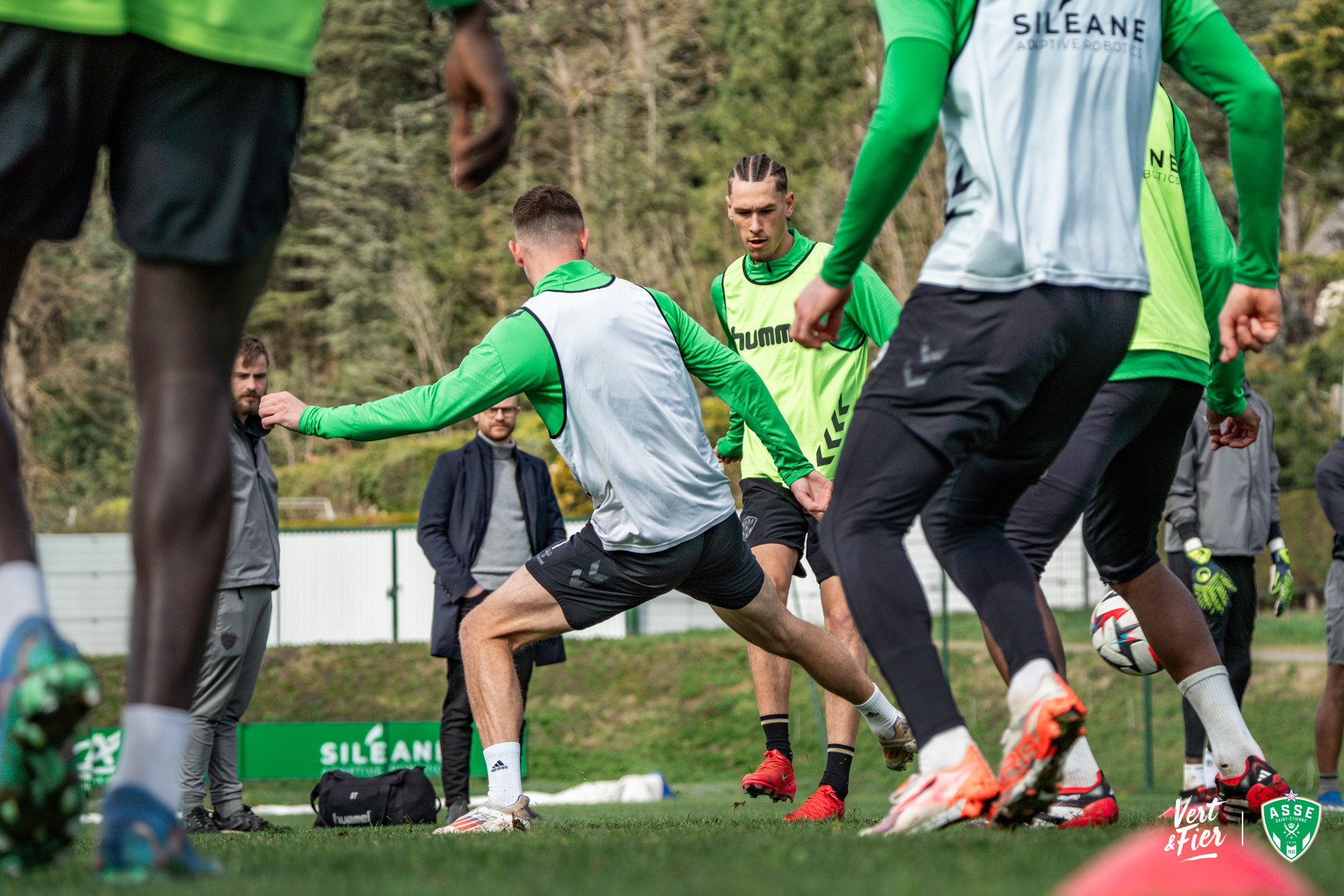 Stassin Lucas - Fiche : infos, stats, photos