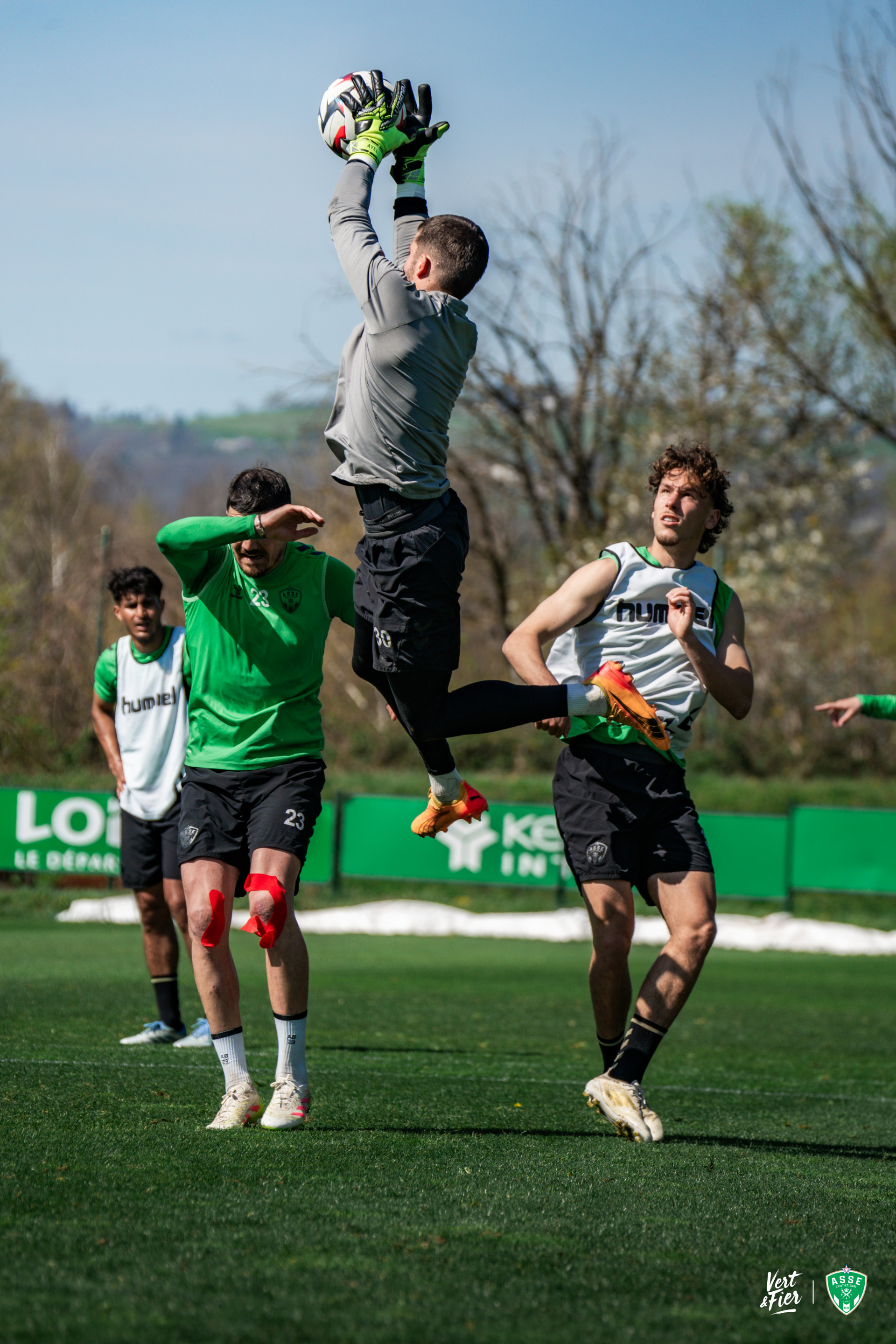 Stassin Lucas - Fiche : infos, stats, photos