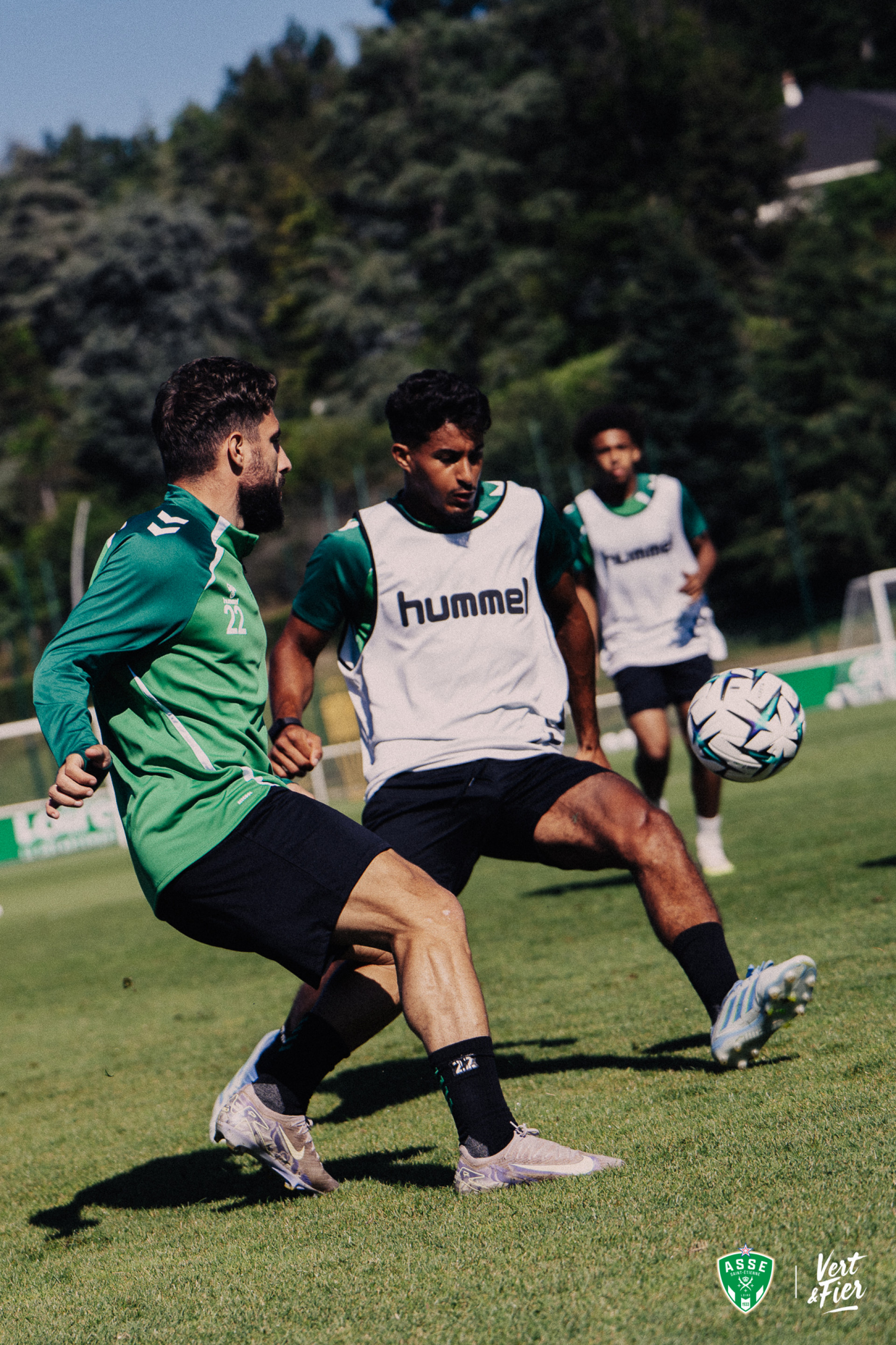 Davitashvili Zuriko - Fiche : infos, stats, photos