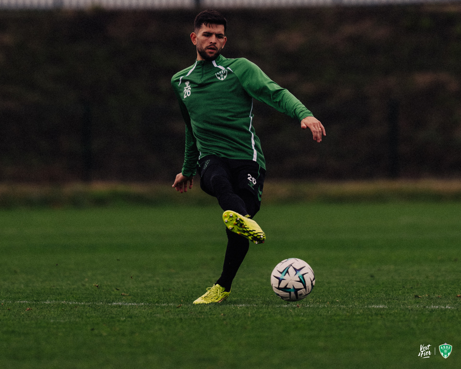Le Cardinal Julien - Fiche : infos, stats, photos