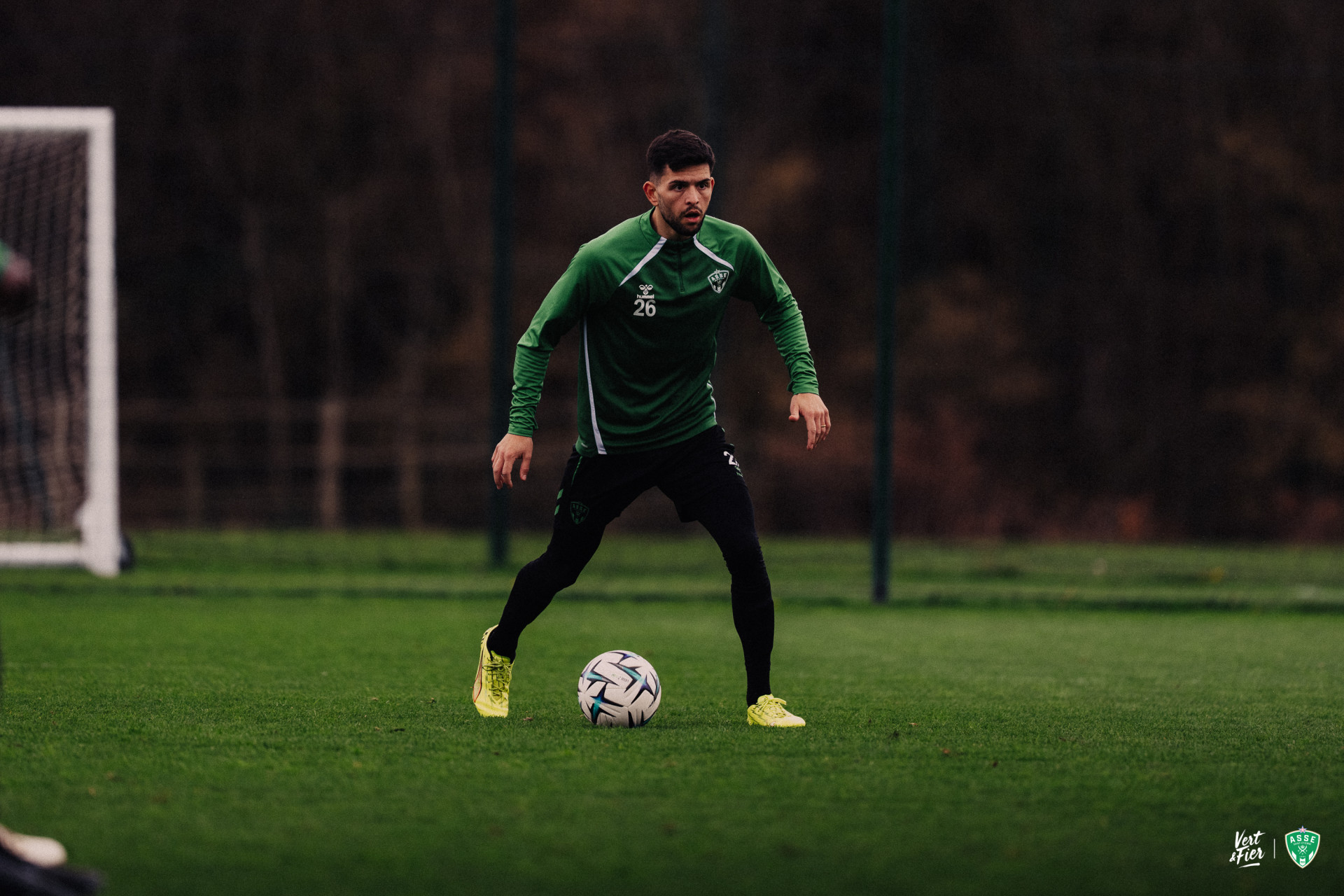 Le Cardinal Julien - Fiche : infos, stats, photos